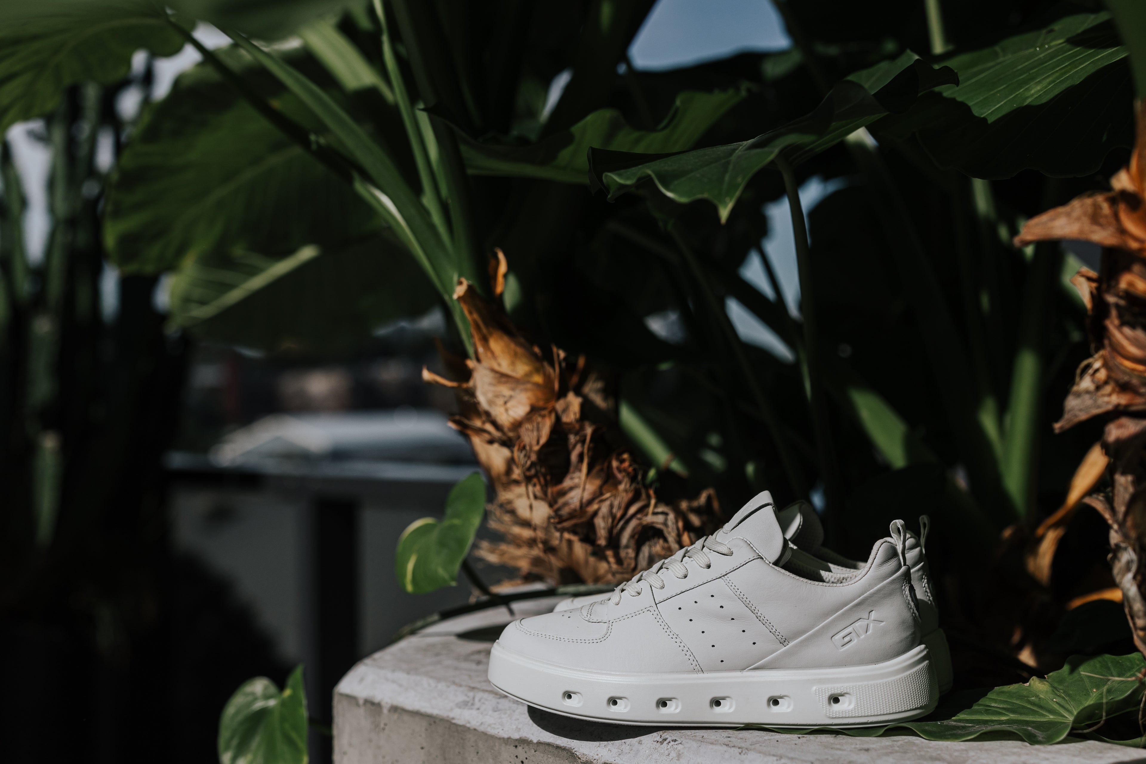 Athena Shoes, Shoes Napier, Buy Shoes Online – Athena Footwear Limited